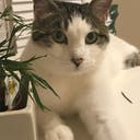 アーベ株式会社