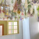 株式会社福禄寿