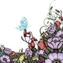 一般社団法人青虫社