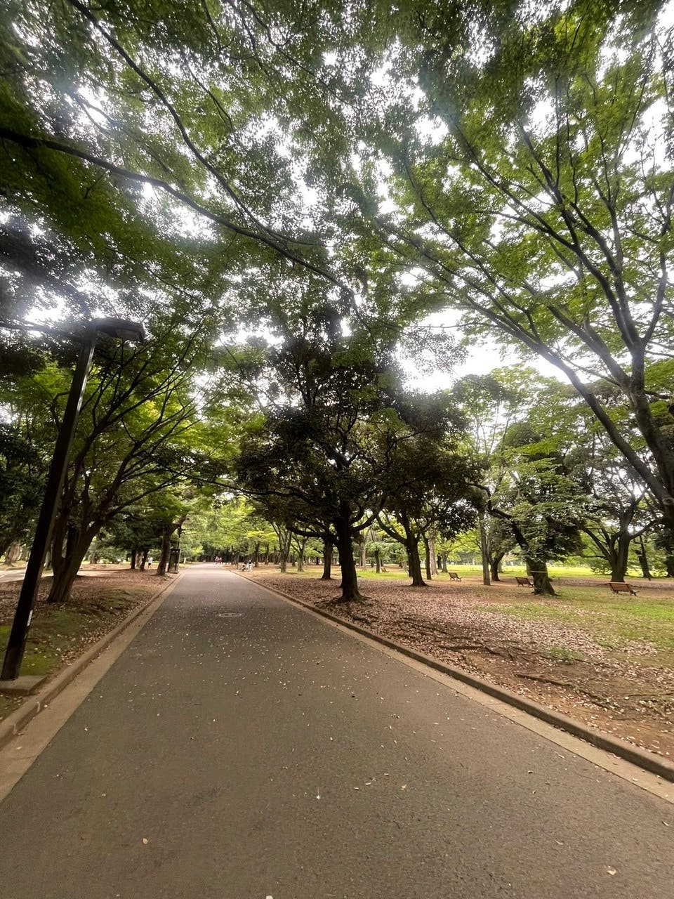 ホストのプロフィール画像