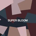 株式会社 SUPERBLOOM
