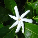 渚不動産合同会社