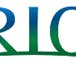 会社リオ・コンサルティング