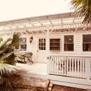 特定非営利活動法人 KDP KANAGAWA DOG PROTECTION