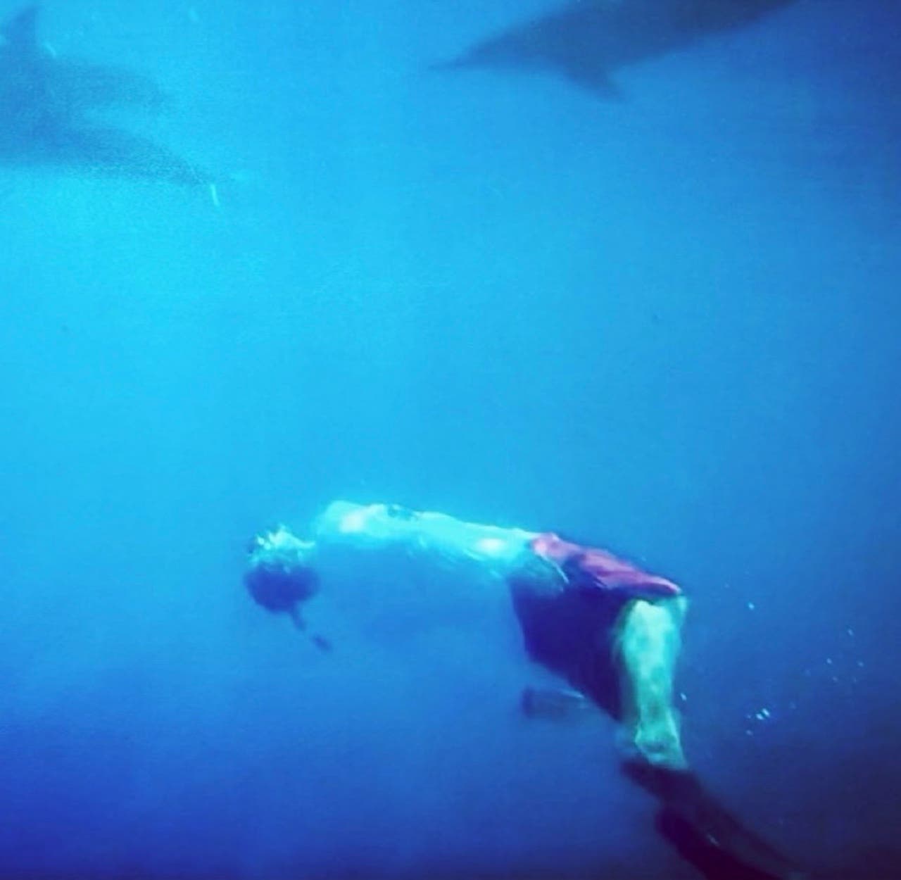 ホストのプロフィール画像