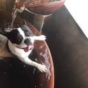 株式会社YUUKI HOUSE大阪