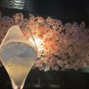 株式会社cooms