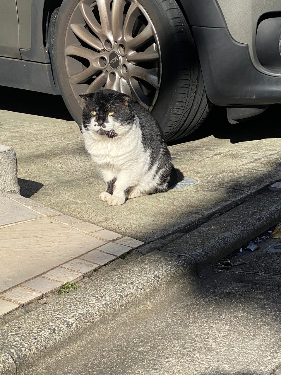 ホストのプロフィール画像