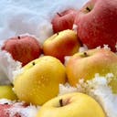 株式会社ジョブライフ