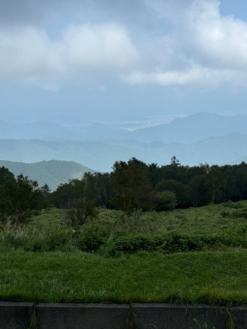 ホストのプロフィール画像