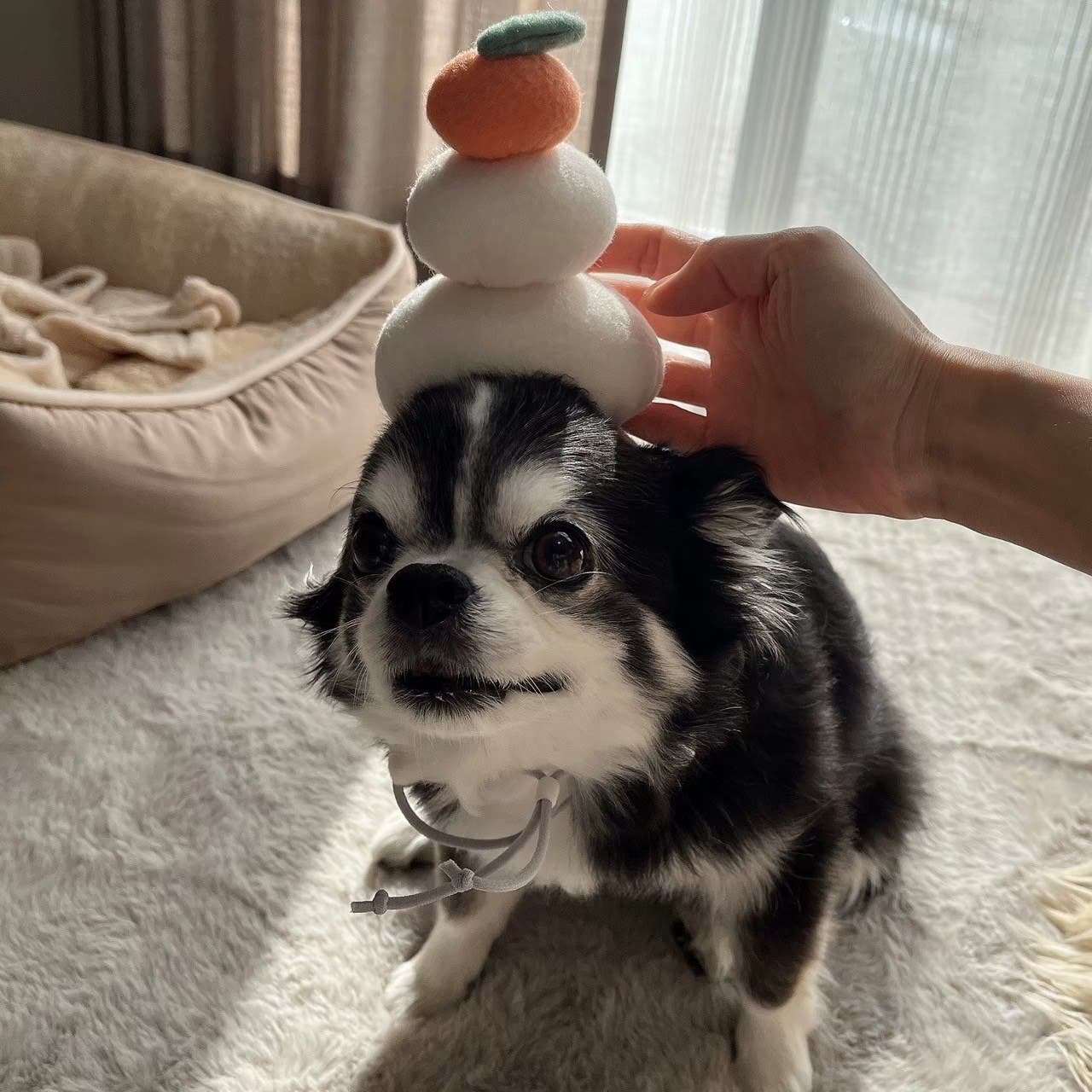 ホストのプロフィール画像