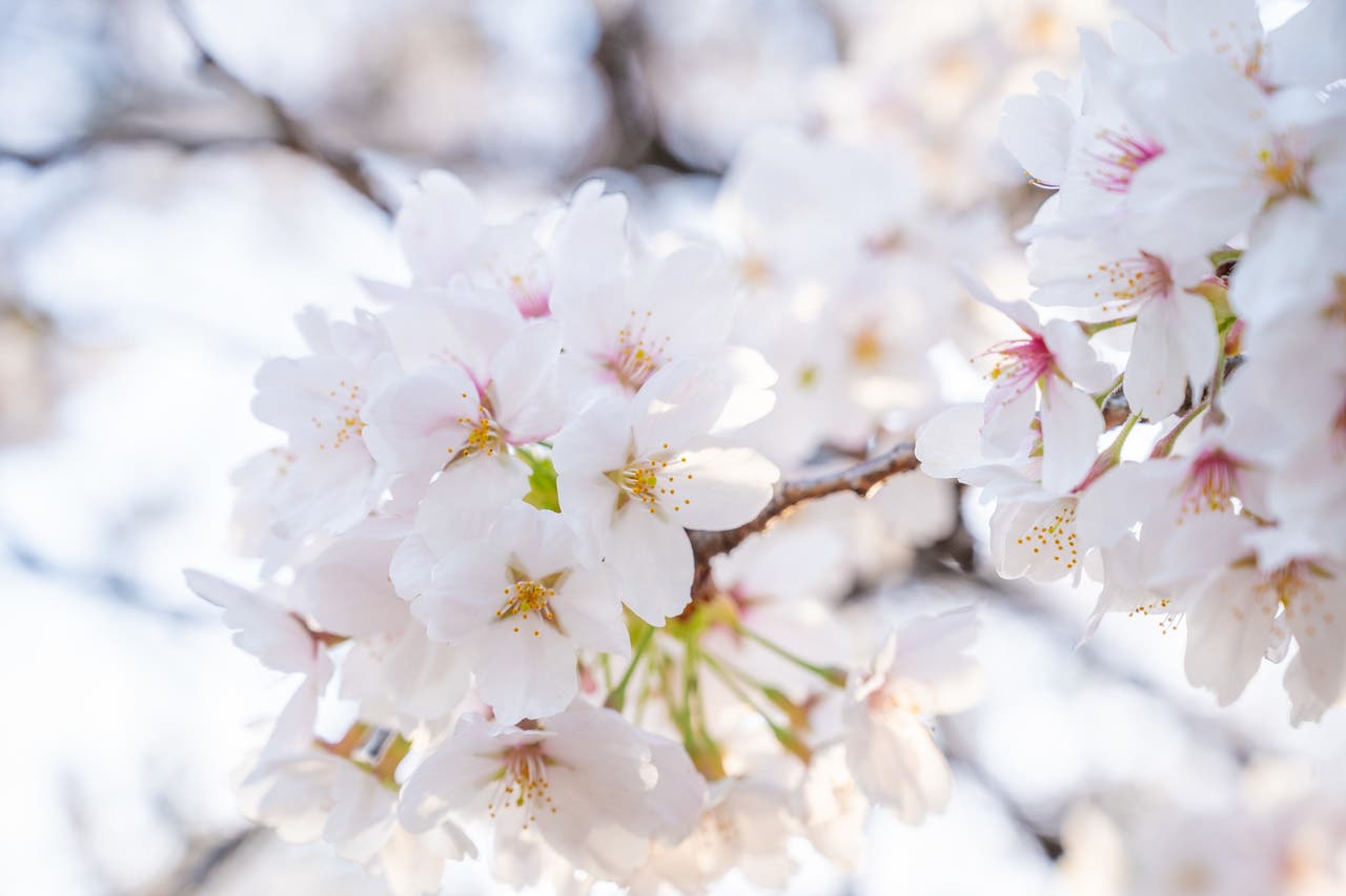 ホストのプロフィール画像