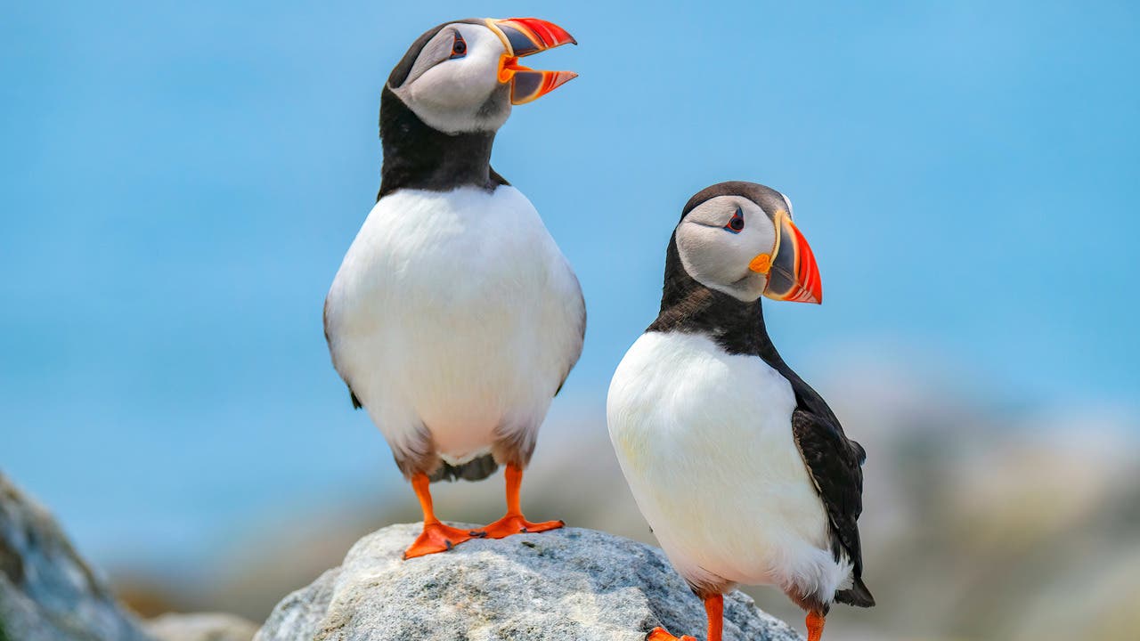 ホストのプロフィール画像