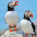 株式会社謙信鋼業