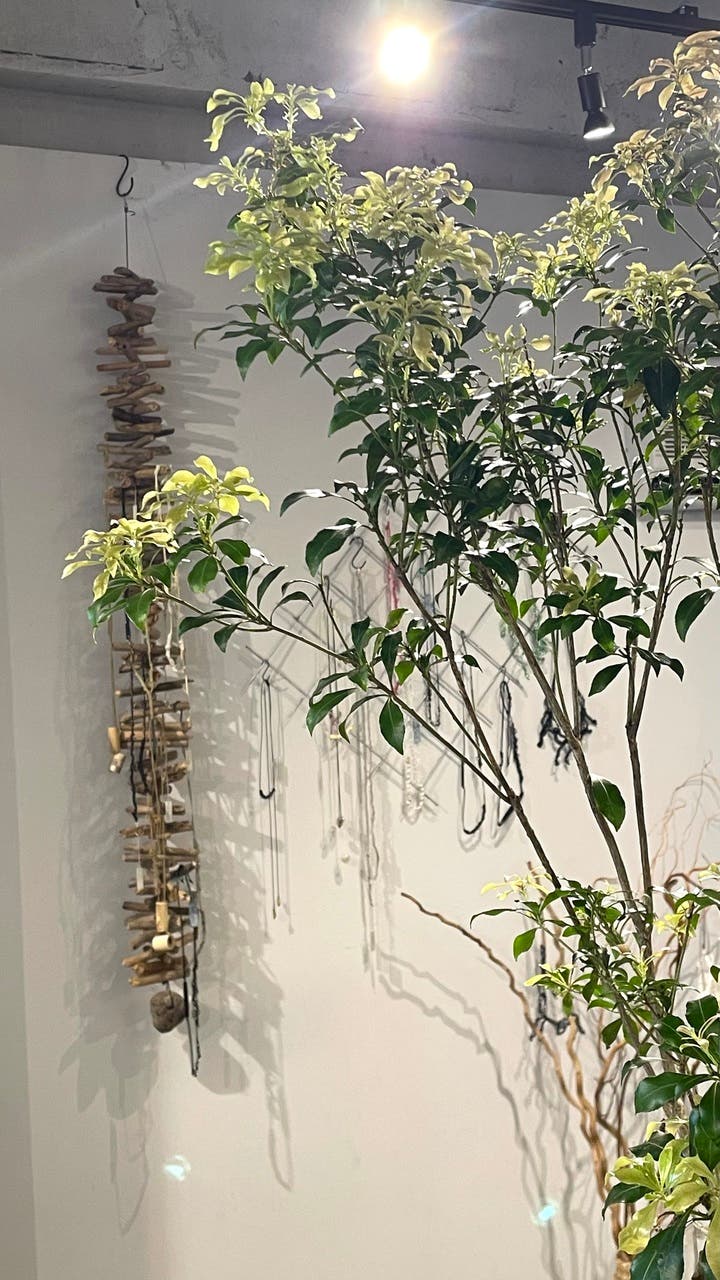 ホストのプロフィール画像