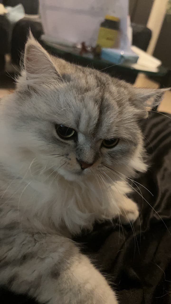 ホストのプロフィール画像