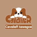 CavalieR