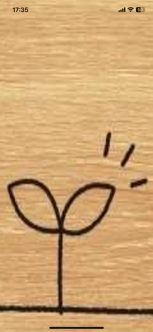 ホストのプロフィール画像