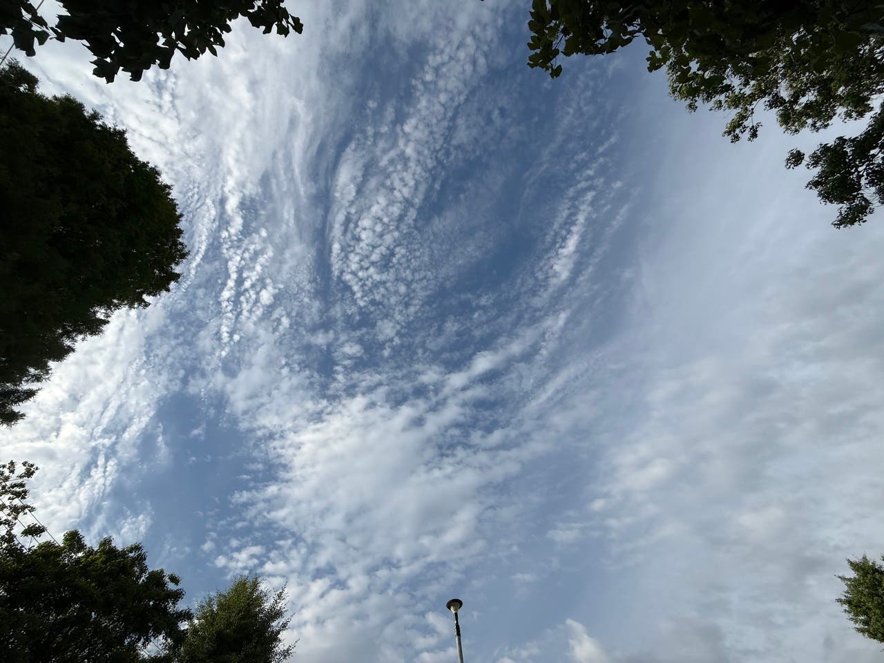 ホストのプロフィール画像