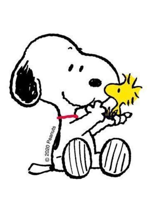 ホストのプロフィール画像