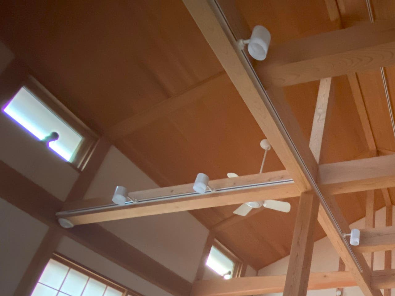 ホストのプロフィール画像