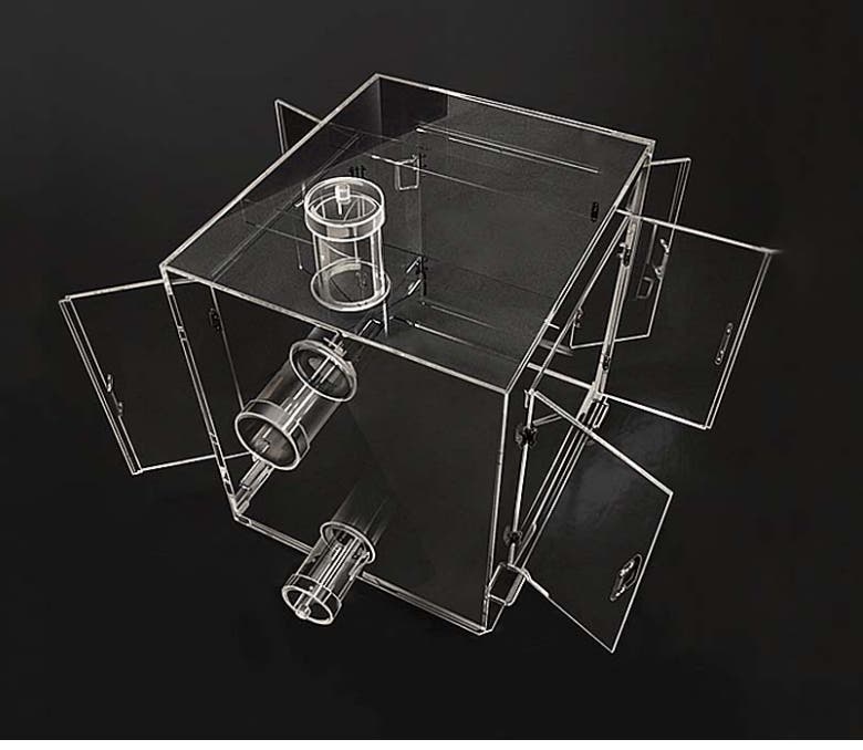 ホストのプロフィール画像