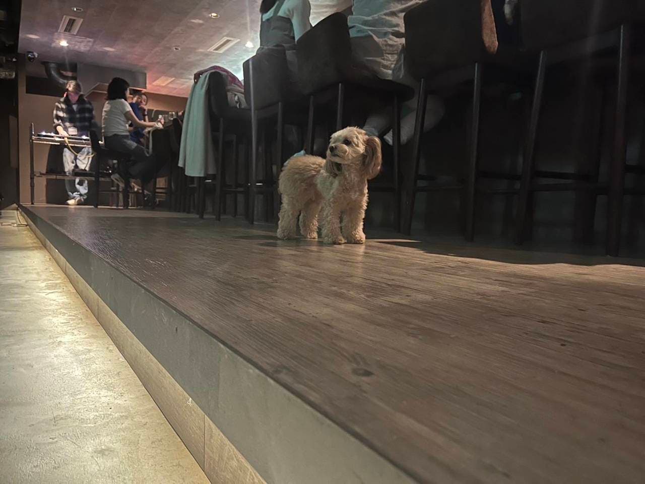 ホストのプロフィール画像