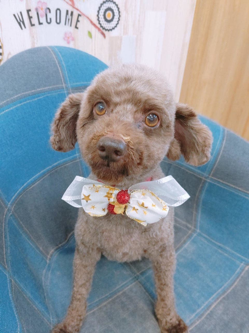 ホストのプロフィール画像