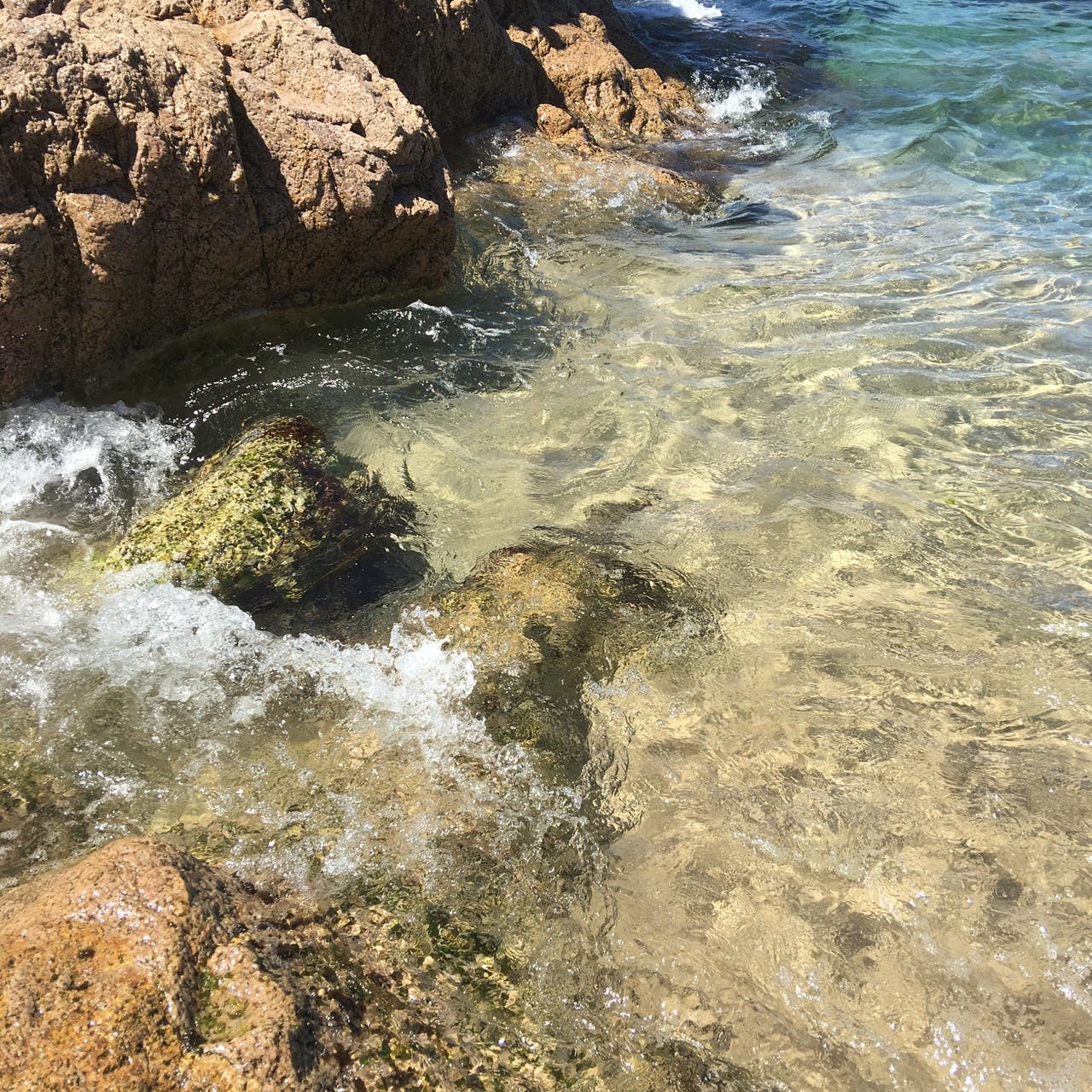 ホストのプロフィール画像