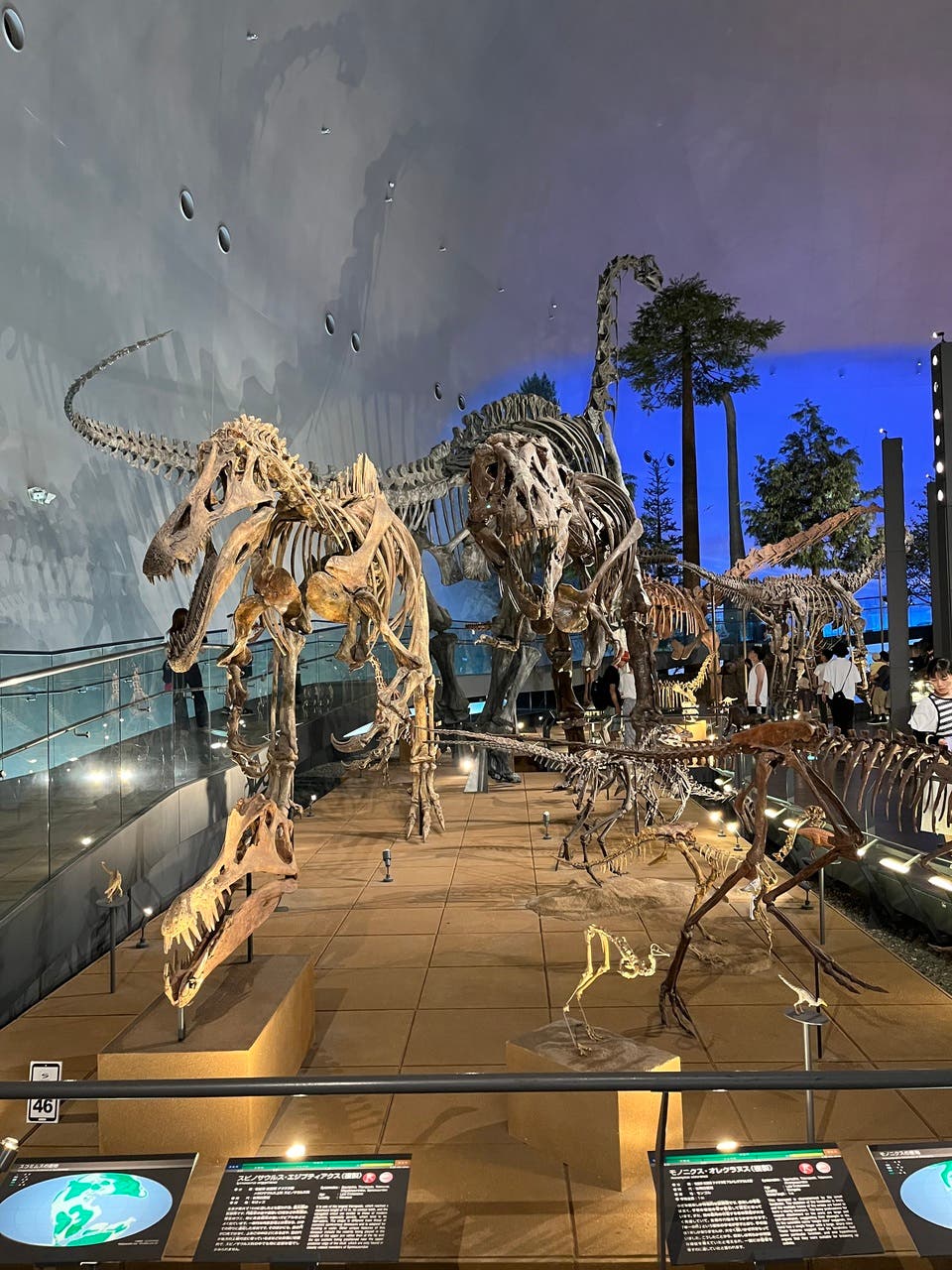 ホストのプロフィール画像