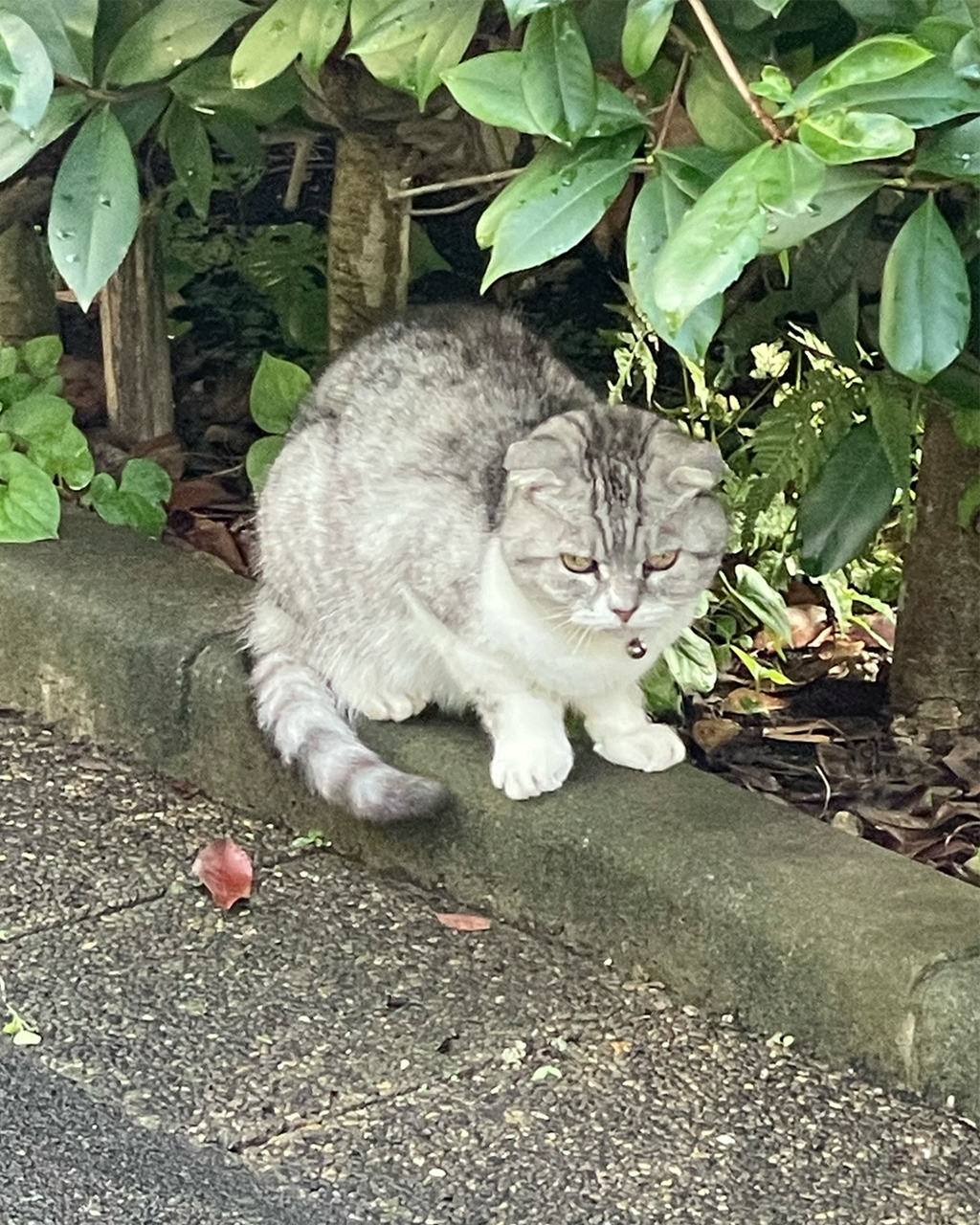 株式会社SKTマネジメント