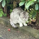 株式会社SKTマネジメント