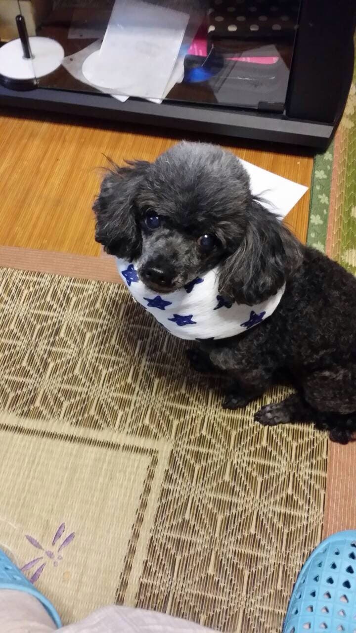 ホストのプロフィール画像