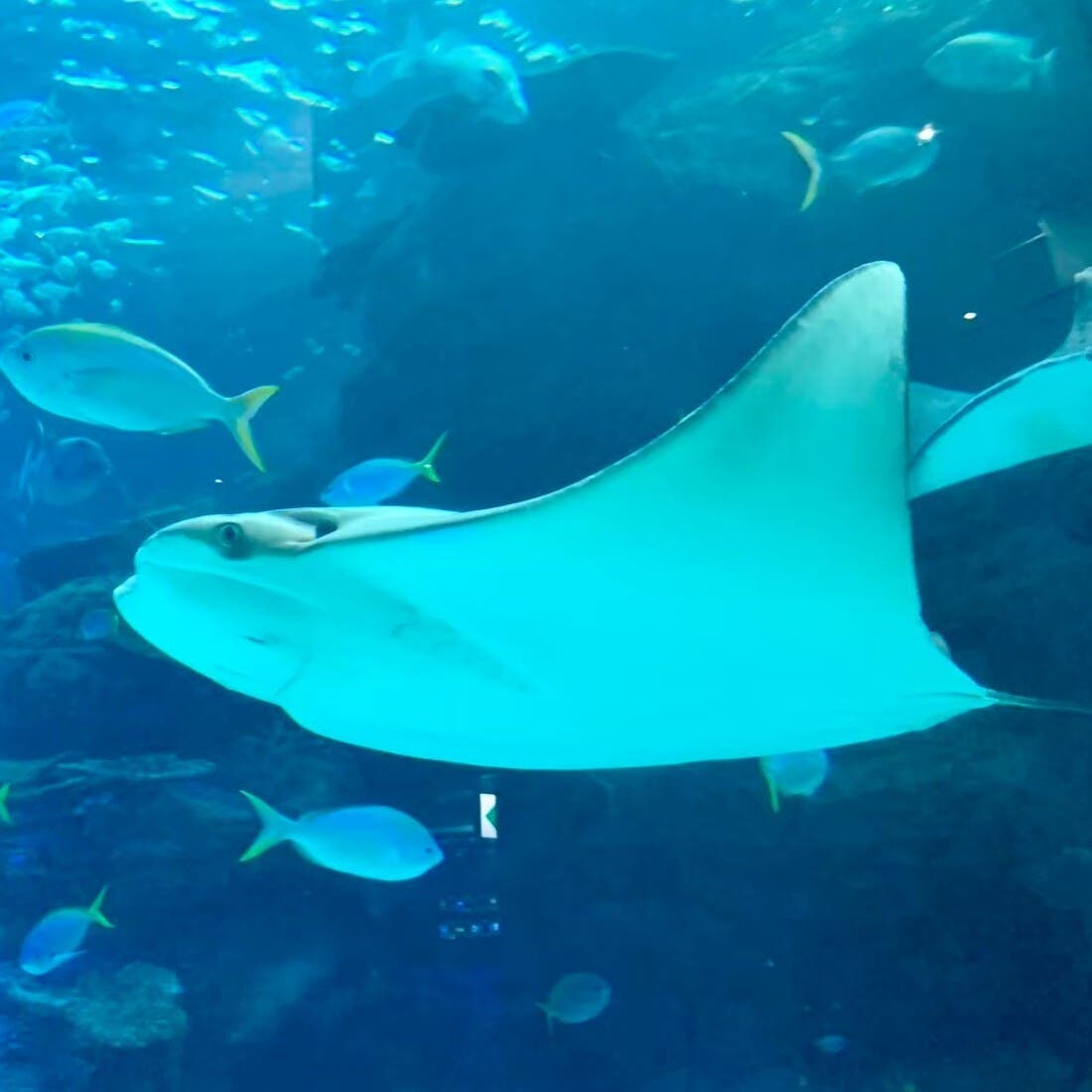 ホストのプロフィール画像