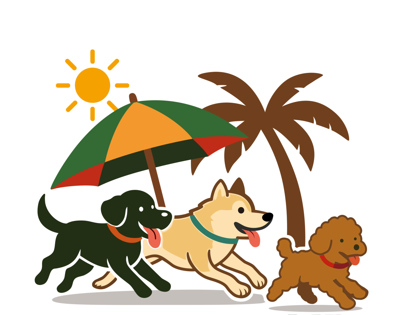 ホストのプロフィール画像