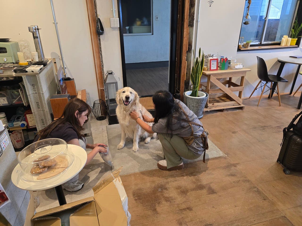 ホストのプロフィール画像