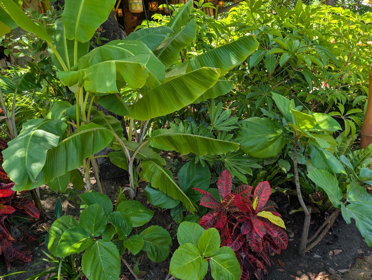 合同会社わかうと