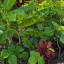 ååäŒç€Ÿããããš