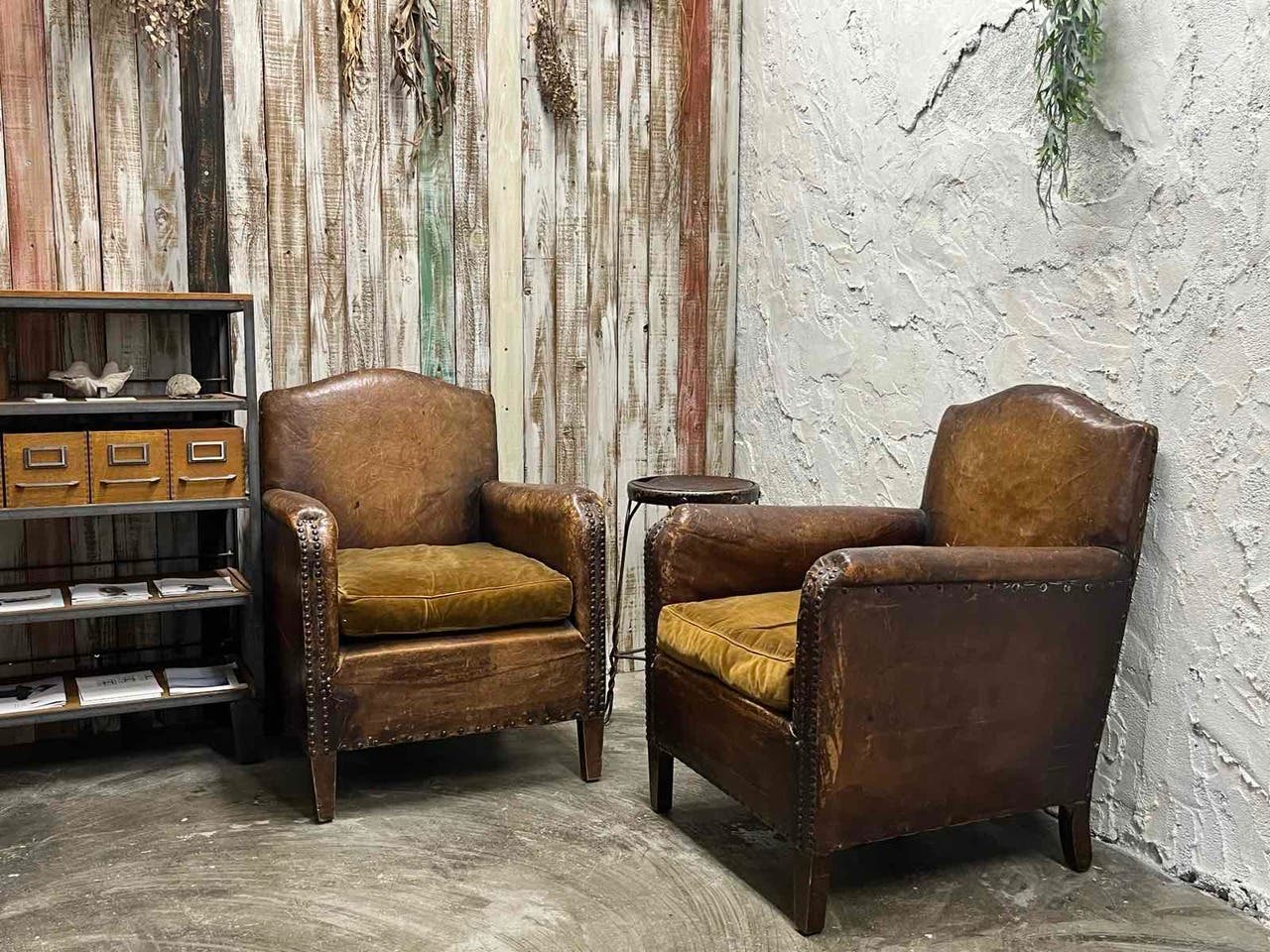 ホストのプロフィール画像