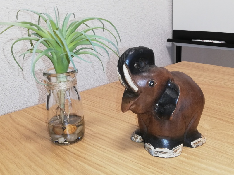 ホストのプロフィール画像