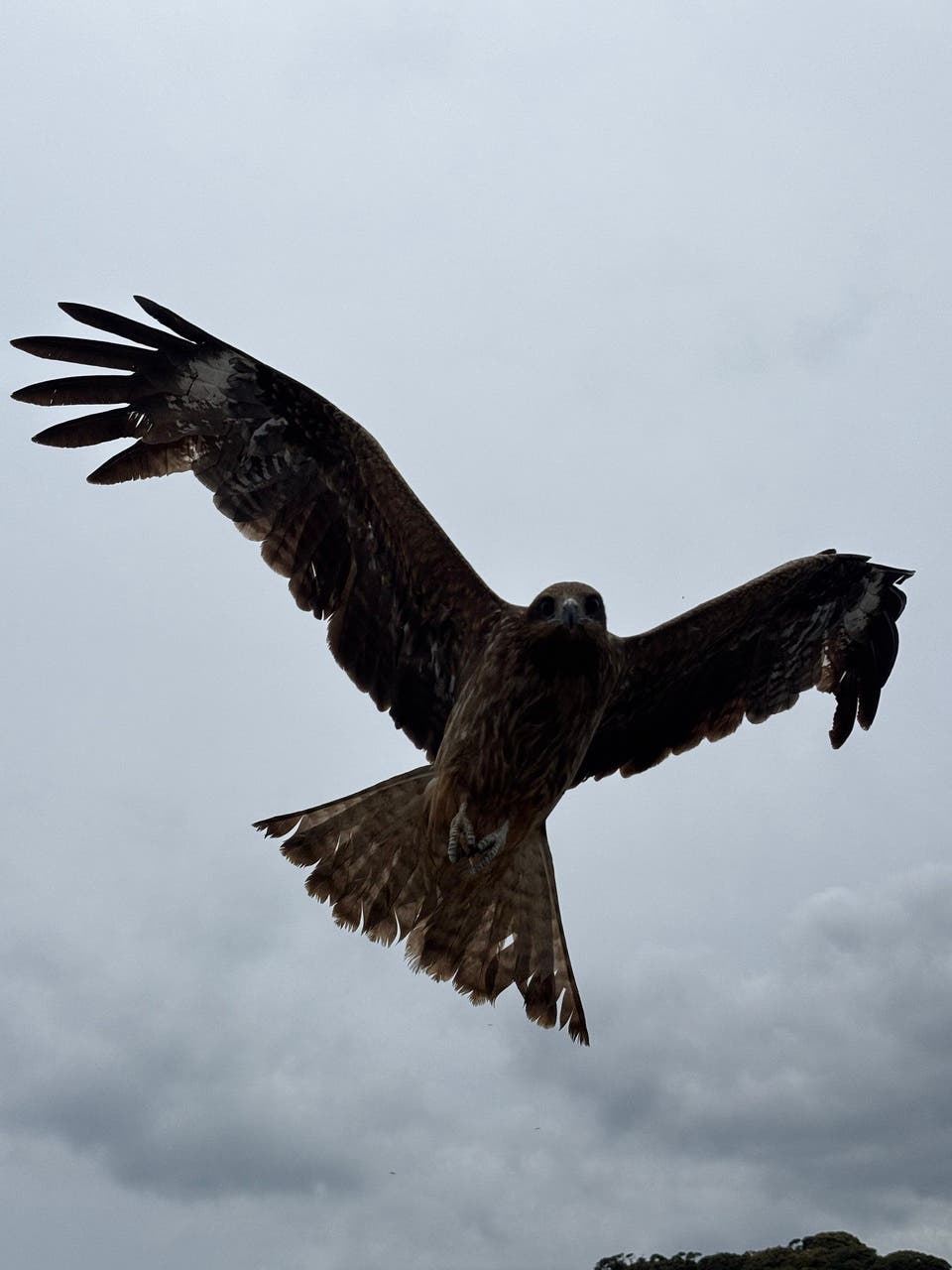 町田ファイナンス株式会社