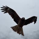 町田ファイナンス株式会社