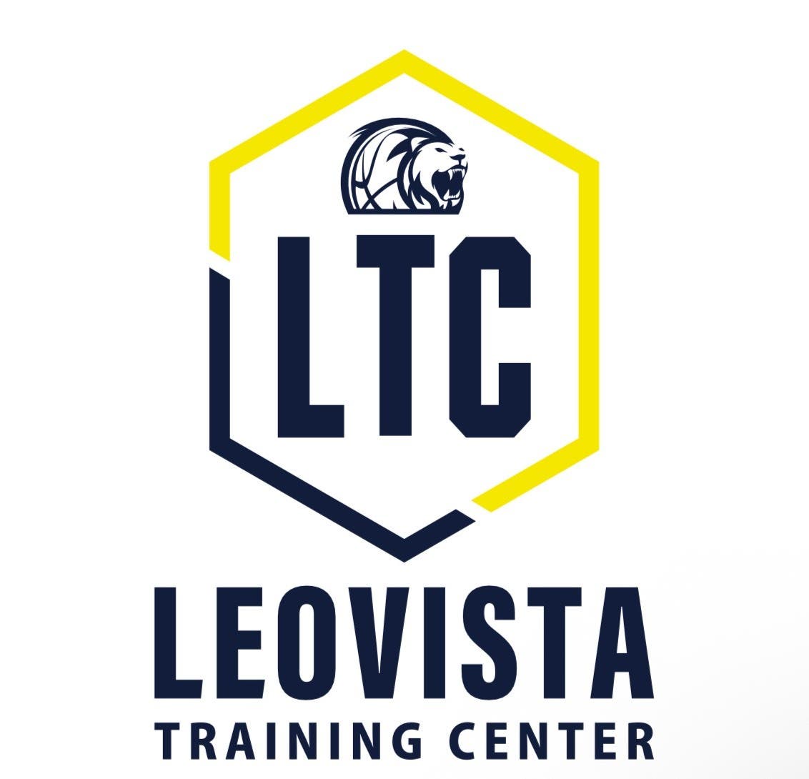 株式会社LEOVISTA