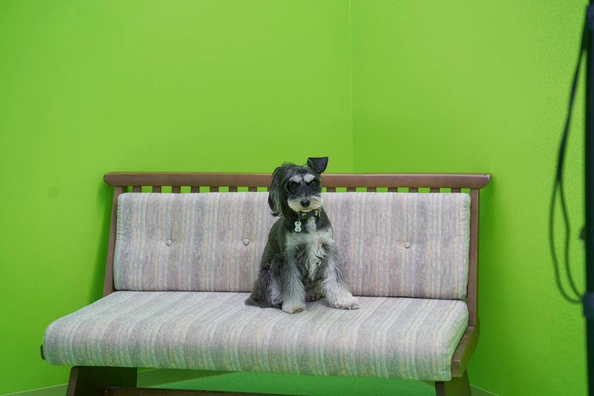 有限会社ドッグ・アミューズメント迎賓館