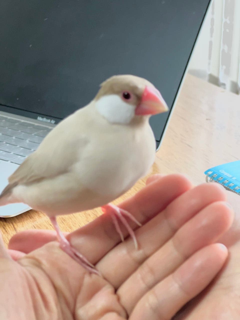 株式会社社会の広告社