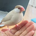 株式会社社会の広告社