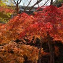 合同会社サジェスト