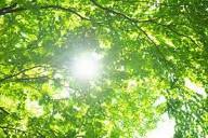 株式会社LADYBIRD