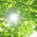 株式会社LADYBIRD