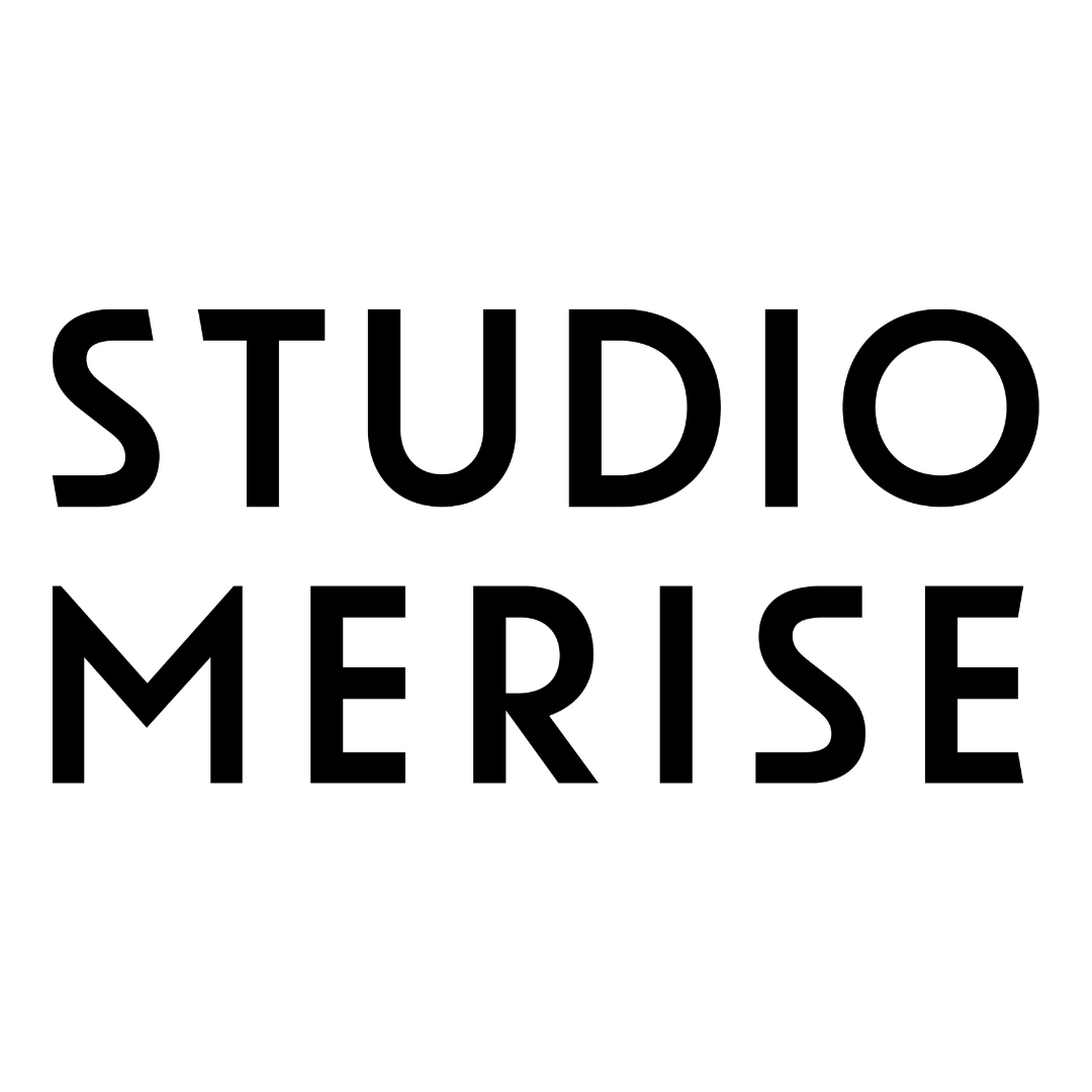 株式会社MeRISE